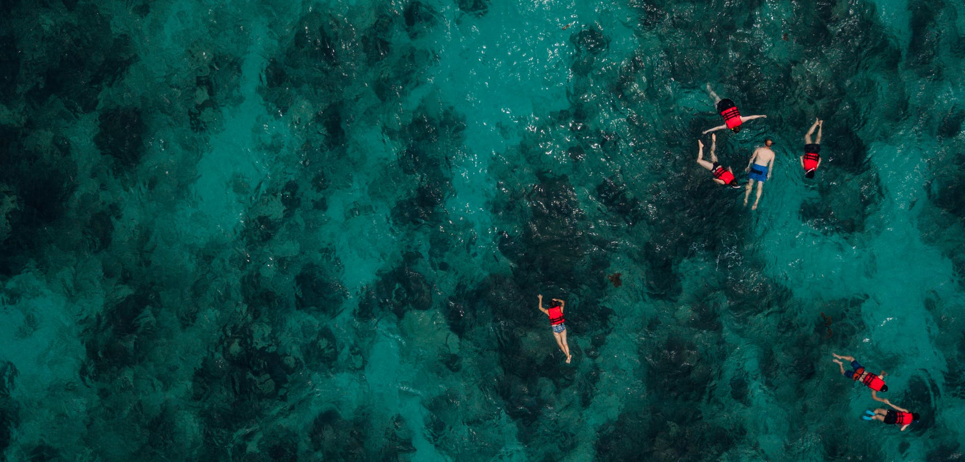 On-Shore – Bahrain’s favourite Dive Sites – The Diving Source